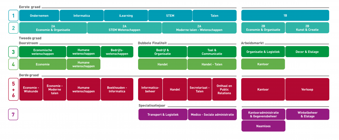 Overzicht studierichtingen | Provinciale Handelsschool Hasselt